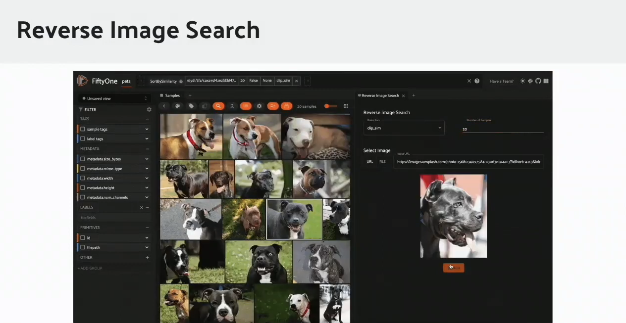 Using Vector Search to Better Understand Computer Vision Data - Zilliz blog