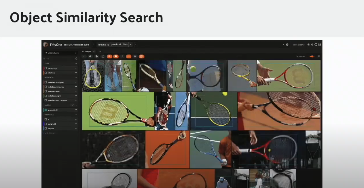 Using Vector Search to Better Understand Computer Vision Data - Zilliz blog
