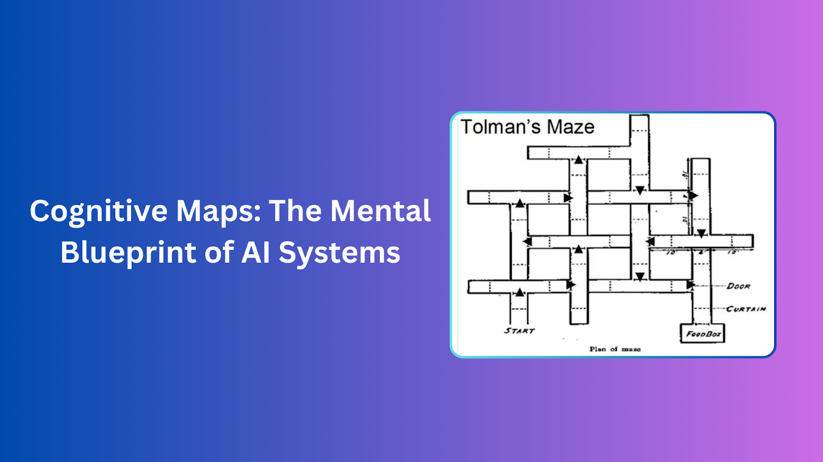 What is Cognitive Maps?