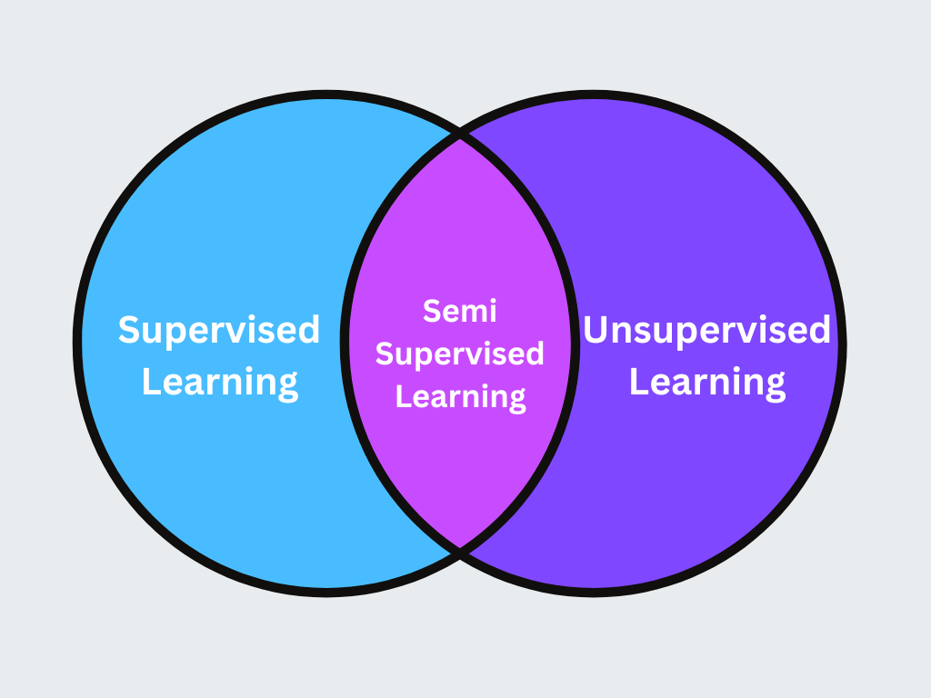 Data Mining: From Raw Data to Valuable Insights