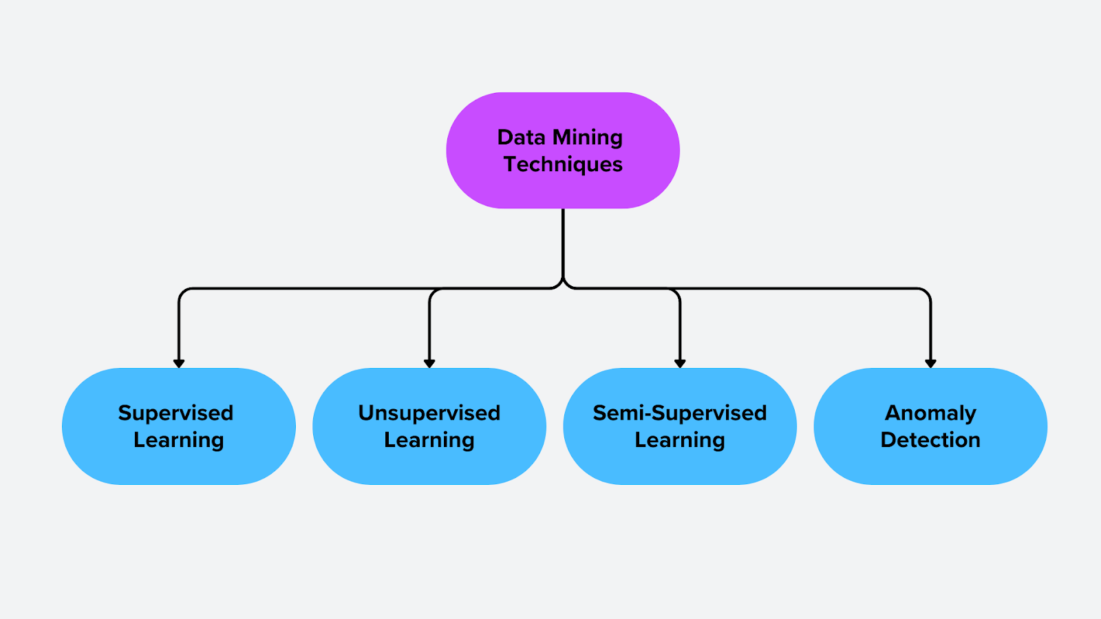 Data Mining From Raw Data To Valuable Insights