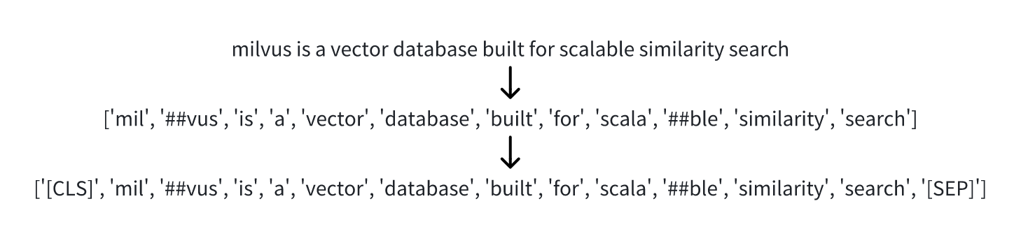 BGE-M3 and Splade: Two Popular Sparse Embedding Models - Zilliz Learn BGE-M3 and Splade: Two Popular Sparse Embedding Models - Zilliz Learn