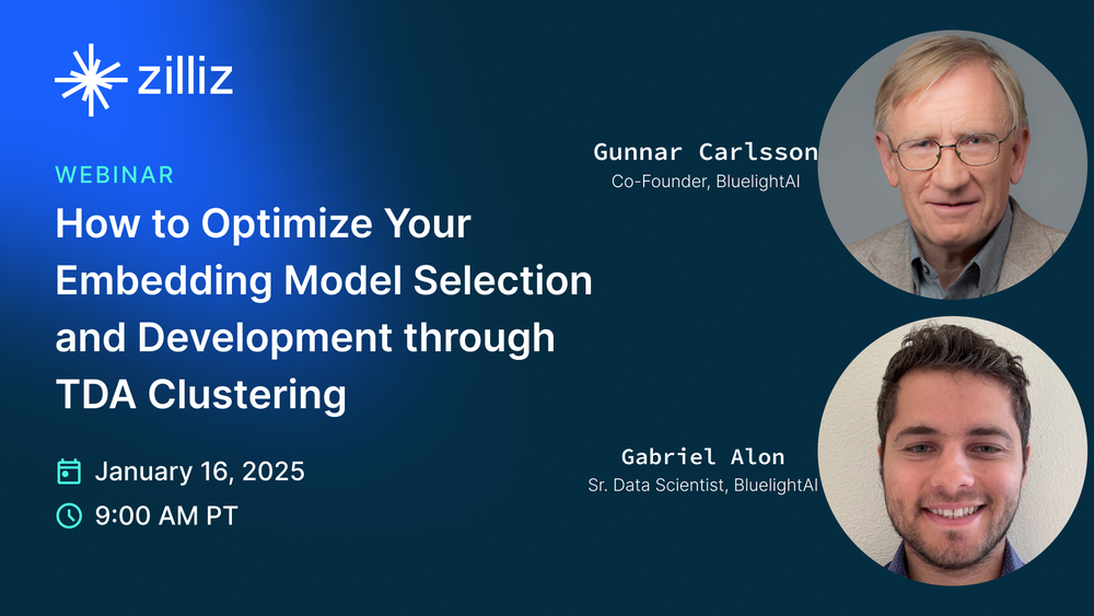 TDA-Driven Embedding Model Selection and Development